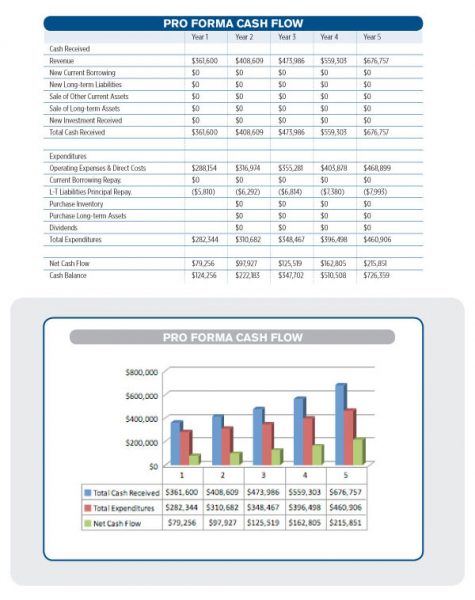 Cash Flow Statement | Wise Business Plan