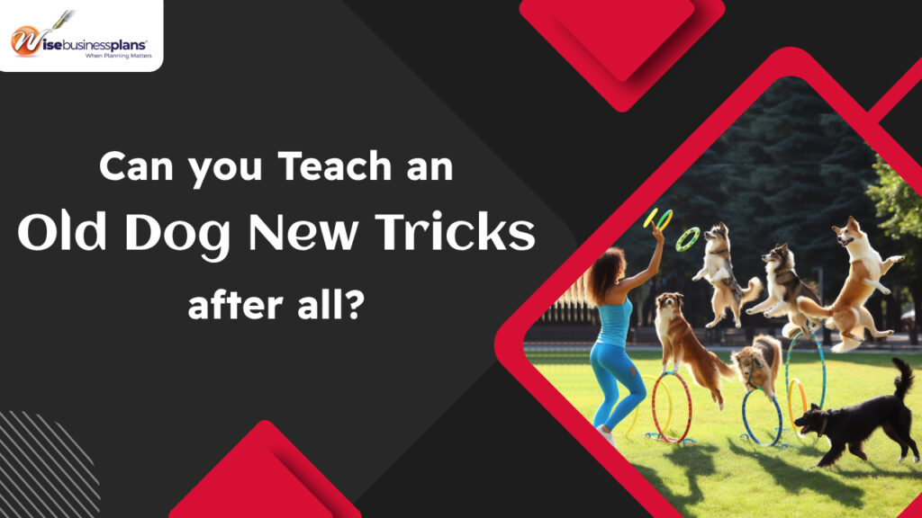 Can you teach an old dog new tricks |Wise Business Plans|
