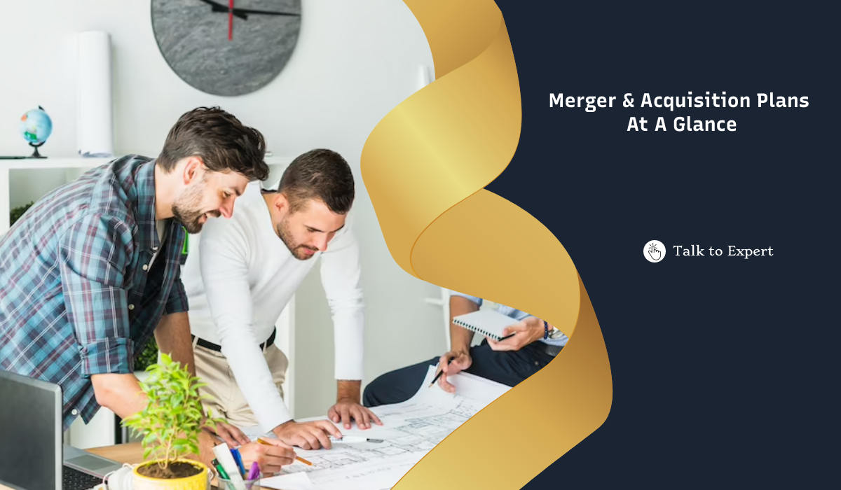 Merger and Acquisition Business Plan - Wise Business Plans