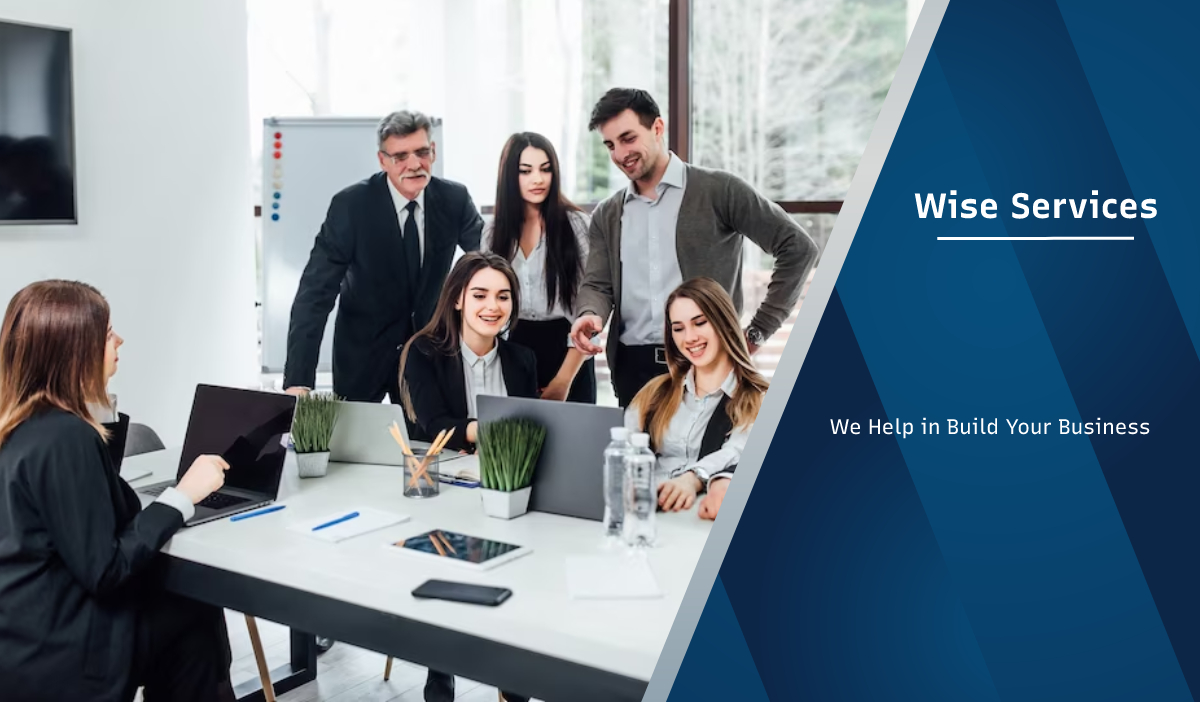 Wise Services - Wise Business Plans